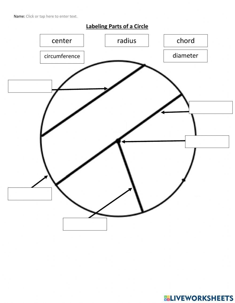 Parts Of A Circle Worksheet - Creative Kids